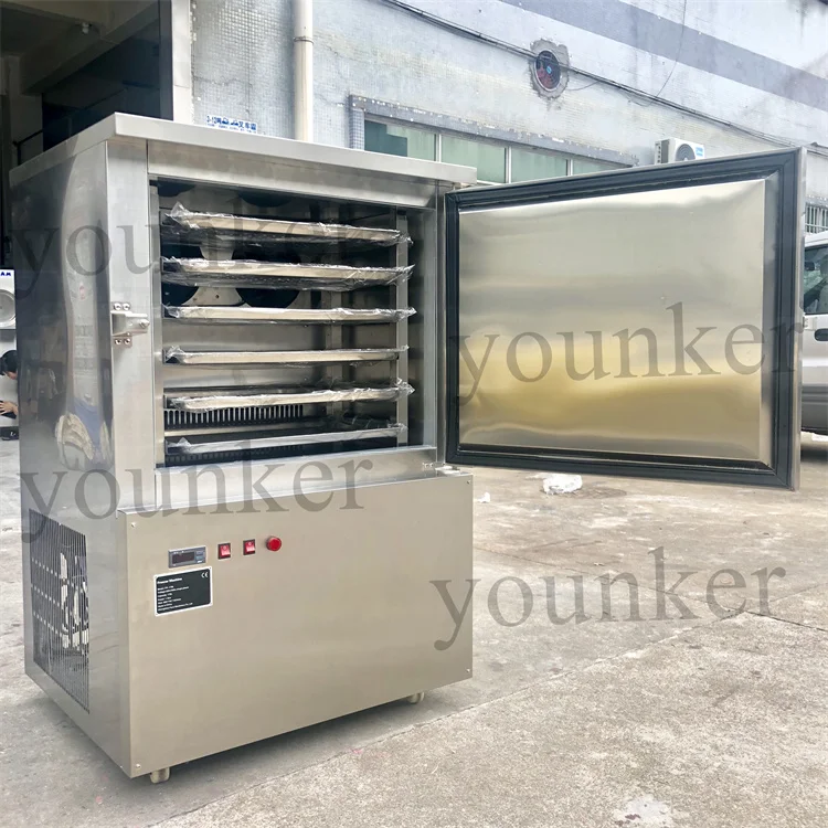 Fast Blast Freezing Small Used Tunnel Iqf Freezer Machine Price - Buy ...
