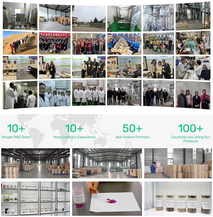 Wholesale Bulk Corosolic Acid Powder from Banaba Leaf Extract