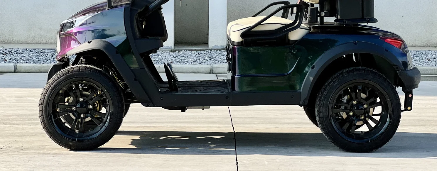 NL-WG2 2-seater Electric Golf Cart with Bump Custom Body Color Seat ...