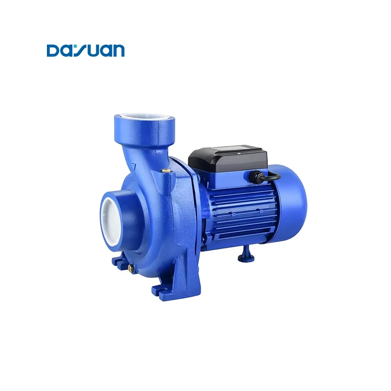 Dayuan Dhm/5am (2hp,400l/min) Rural Water Supply Garden Irrigation ...