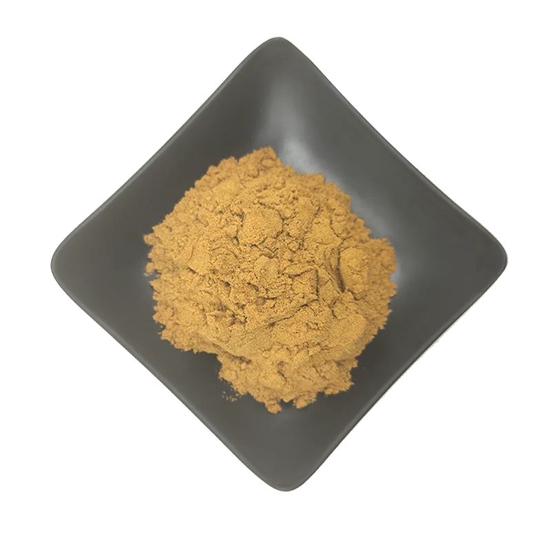 High Quality Terminalia Arjuna Extract - Pure Natural Powder