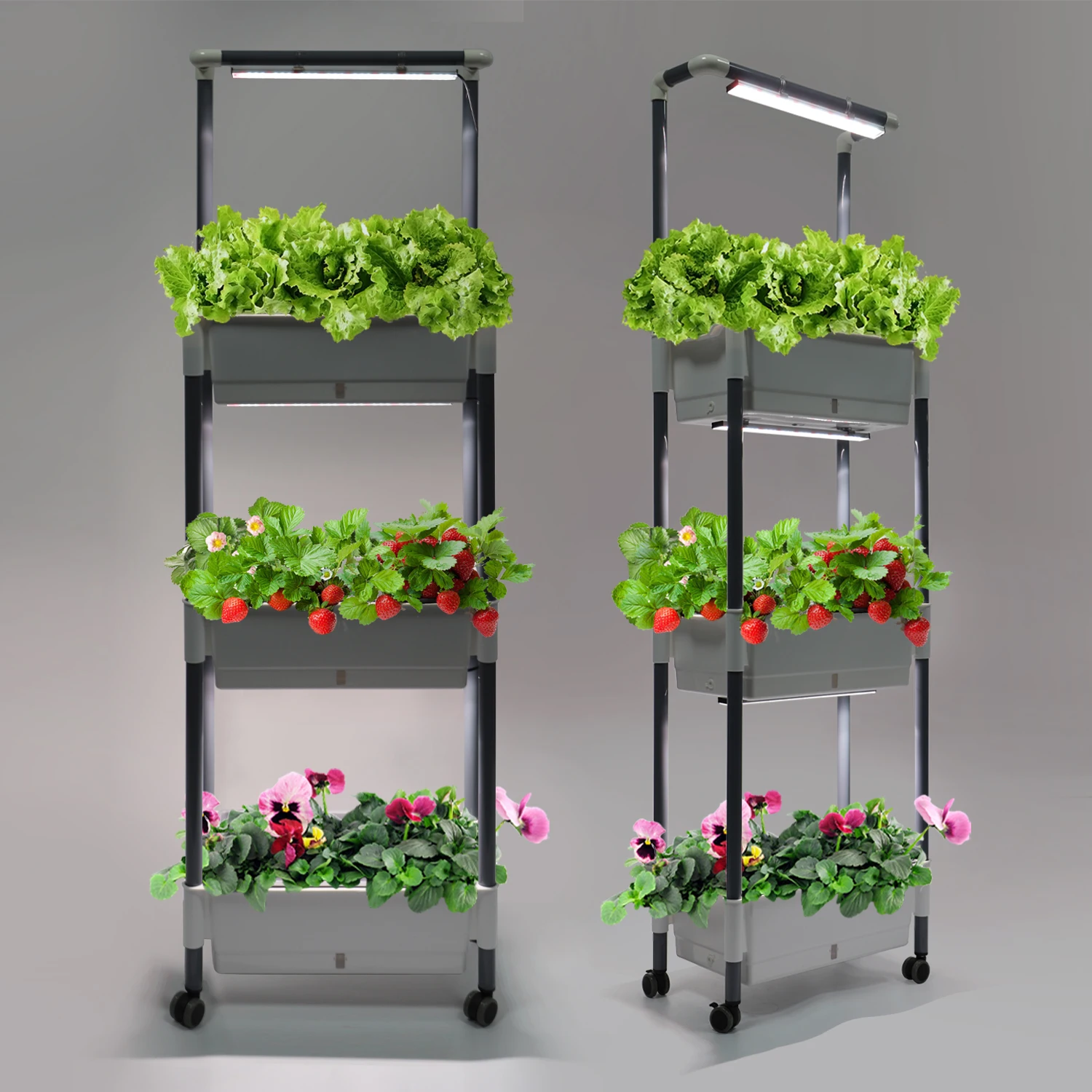 Indoor Gardening Vertical Microgreens, Vegetables, Fruit Self-Watering ...