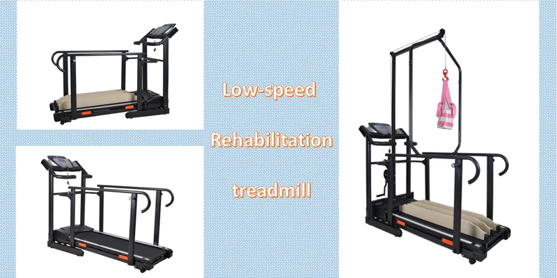 Advanced Cockfight Treadmill for Gamecock Conditioning