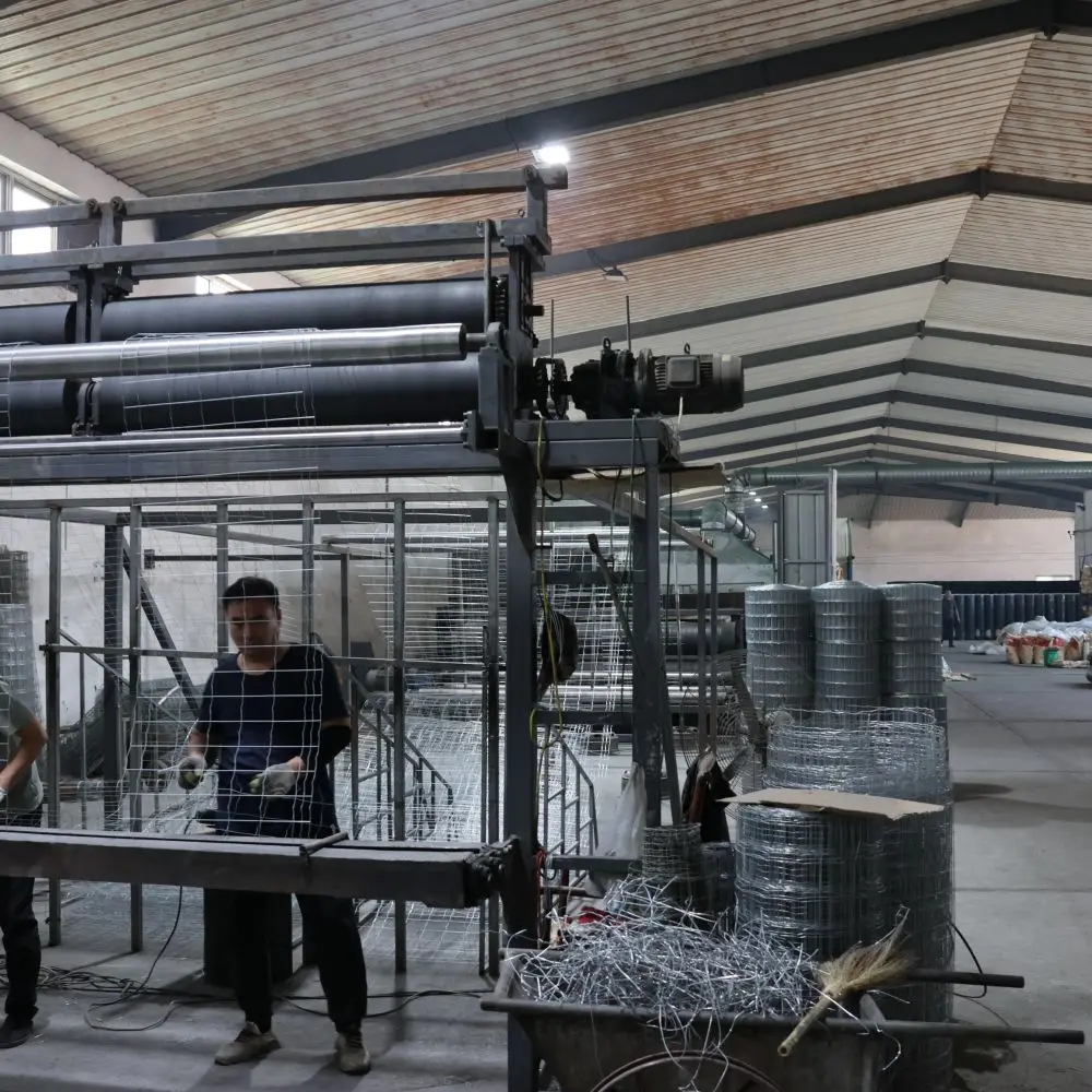 Galvanized Welded Wire Mesh Rolls for Construction - PVC Coated ...