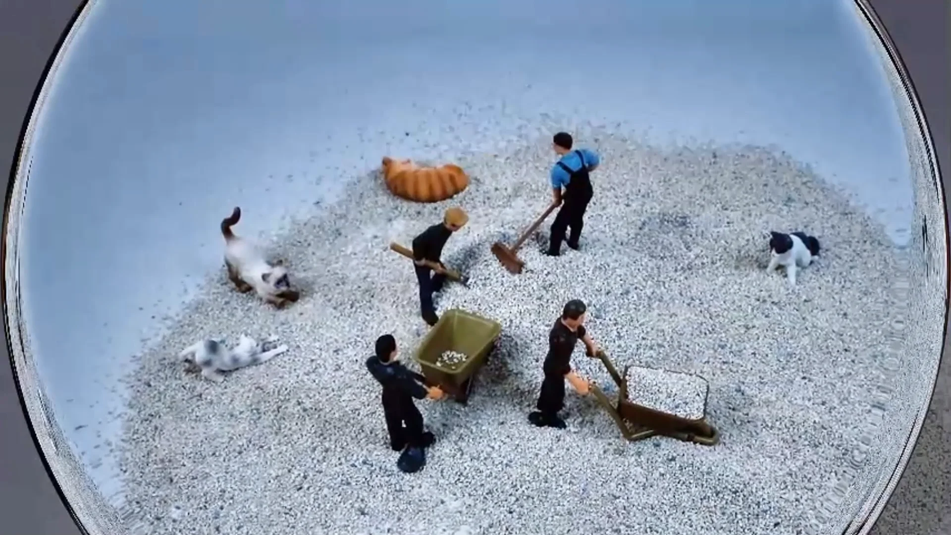 Dust Free Natural Bentonite Cat Litter Strong Clumping Easy Clean Cat ...