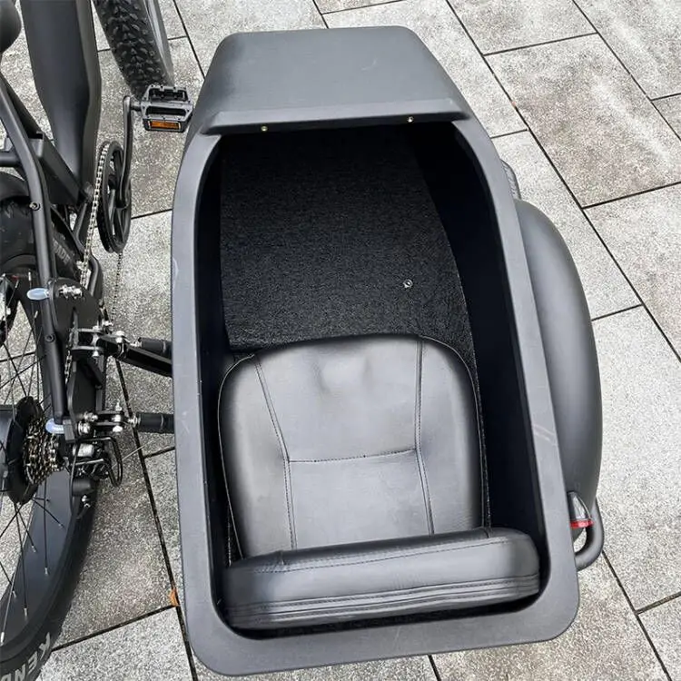 E Bike Side Car – Adult Electric Tricycle with 750W Motor, 3 Wheels ...