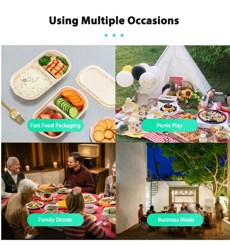 CPET Plastic Food Container Oven Microwave Safe Disposable Recyclable ...