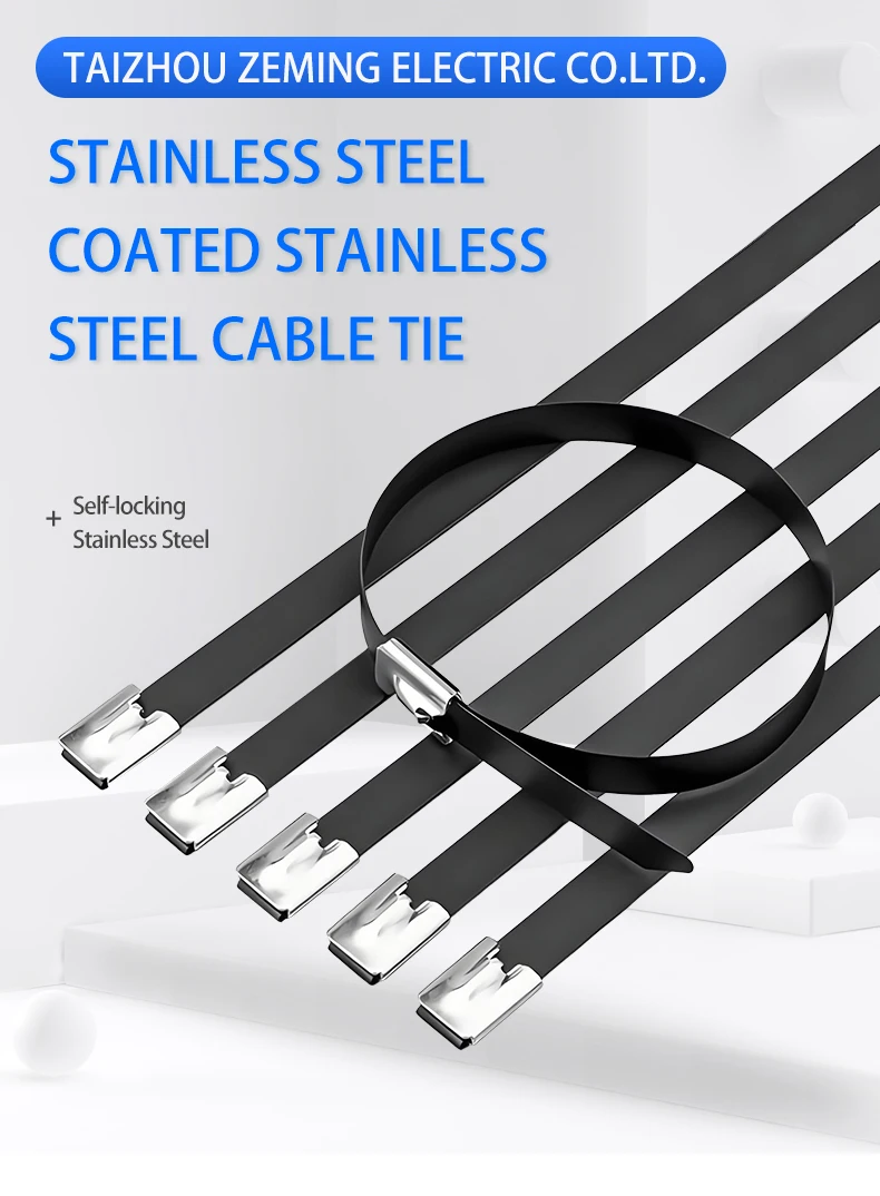 Stainless Steel Ball Lock Epoxy Coated 304 316 Cable Ties| Alibaba.com