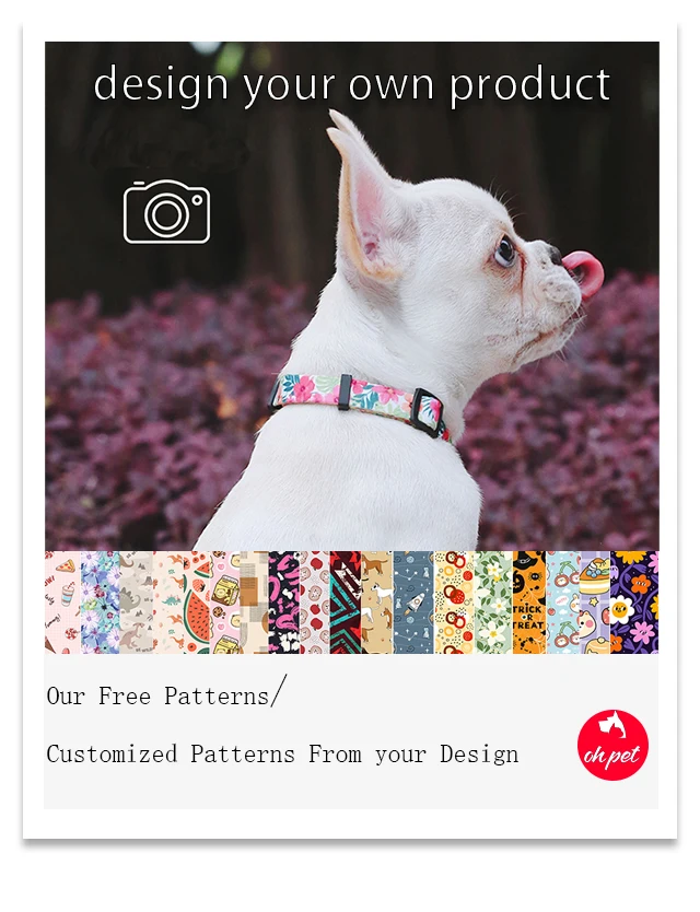 Custom Brand Logo Luxury Nylon Personalized Buckle Dog Leash
