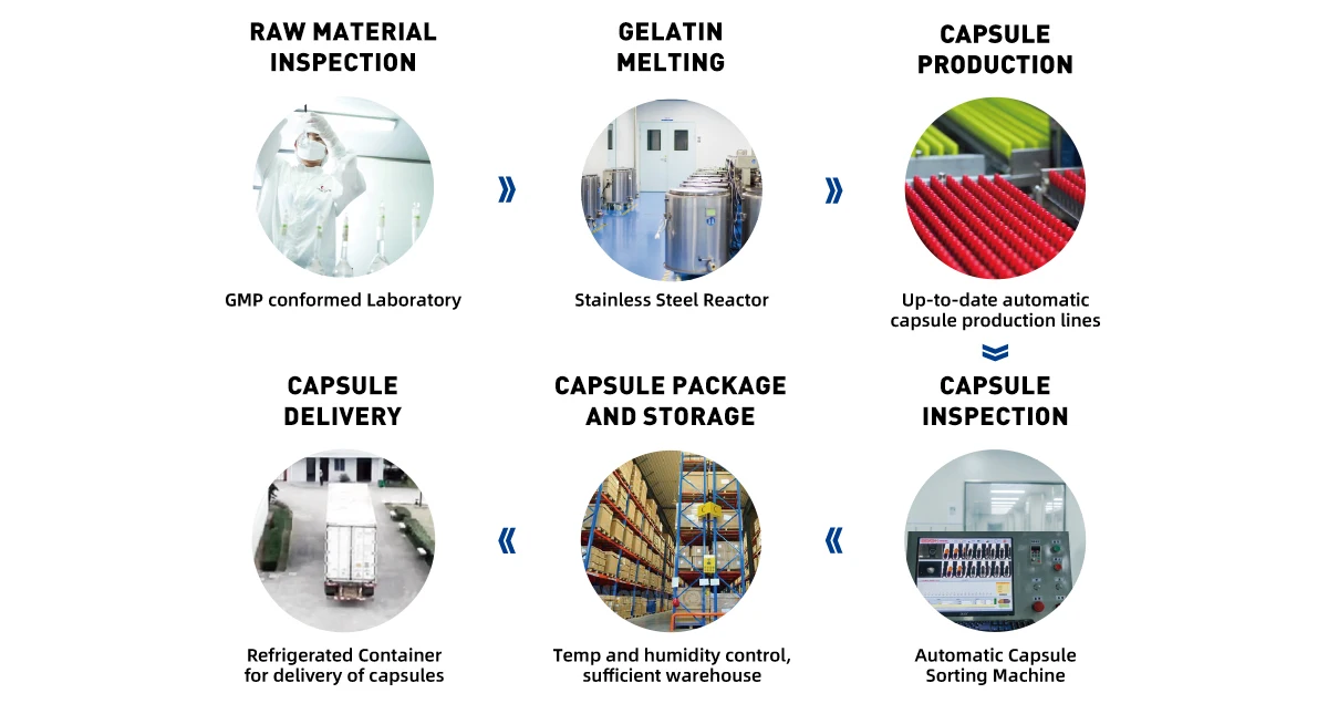 Wecaps Empty Pill Capsules Gelatin Capsules Custom Printed Capsules ...