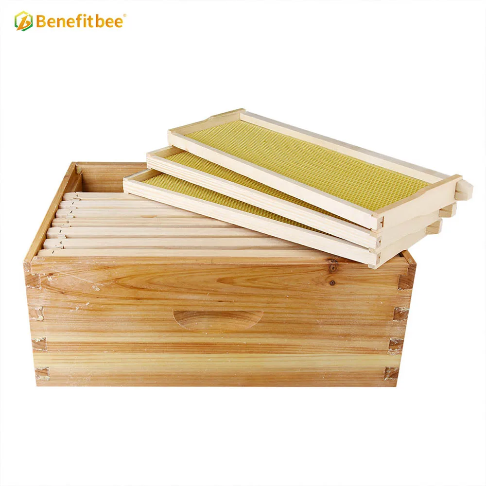 Wholesale Hive Tool Langstroth Wooden Bee Hives Beehive Kit