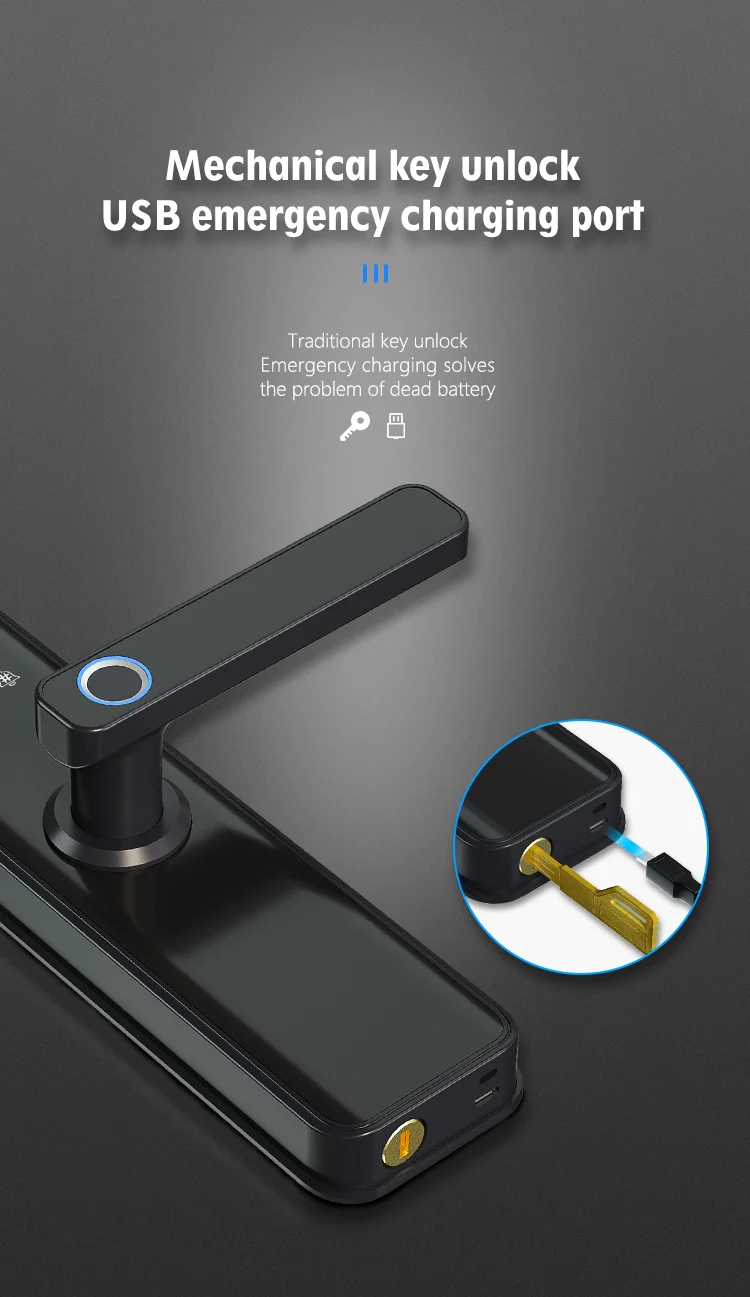 Eseye Oem Smart Home Voice Graffiti Wifi Digital Fingerprint Cerradura ...