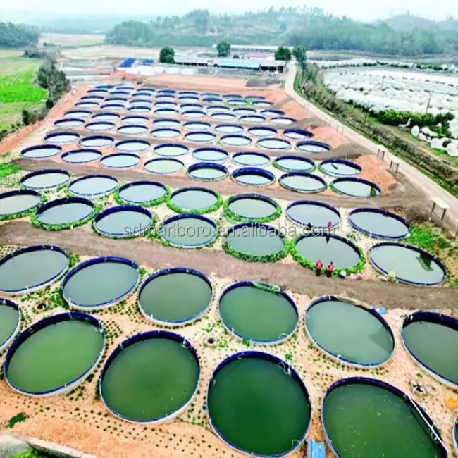 SDM Collapsible PVC Tarpaulin Fish Farming Tanks Indoor Outdoor Biofloc ...