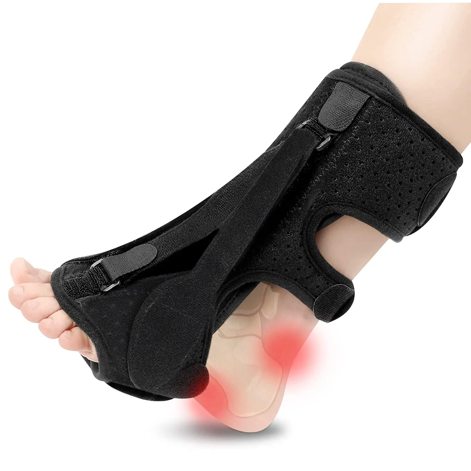 Alibaba.com: Plantar Fasciitis Support Night Splint Foot Roller with 3 ...