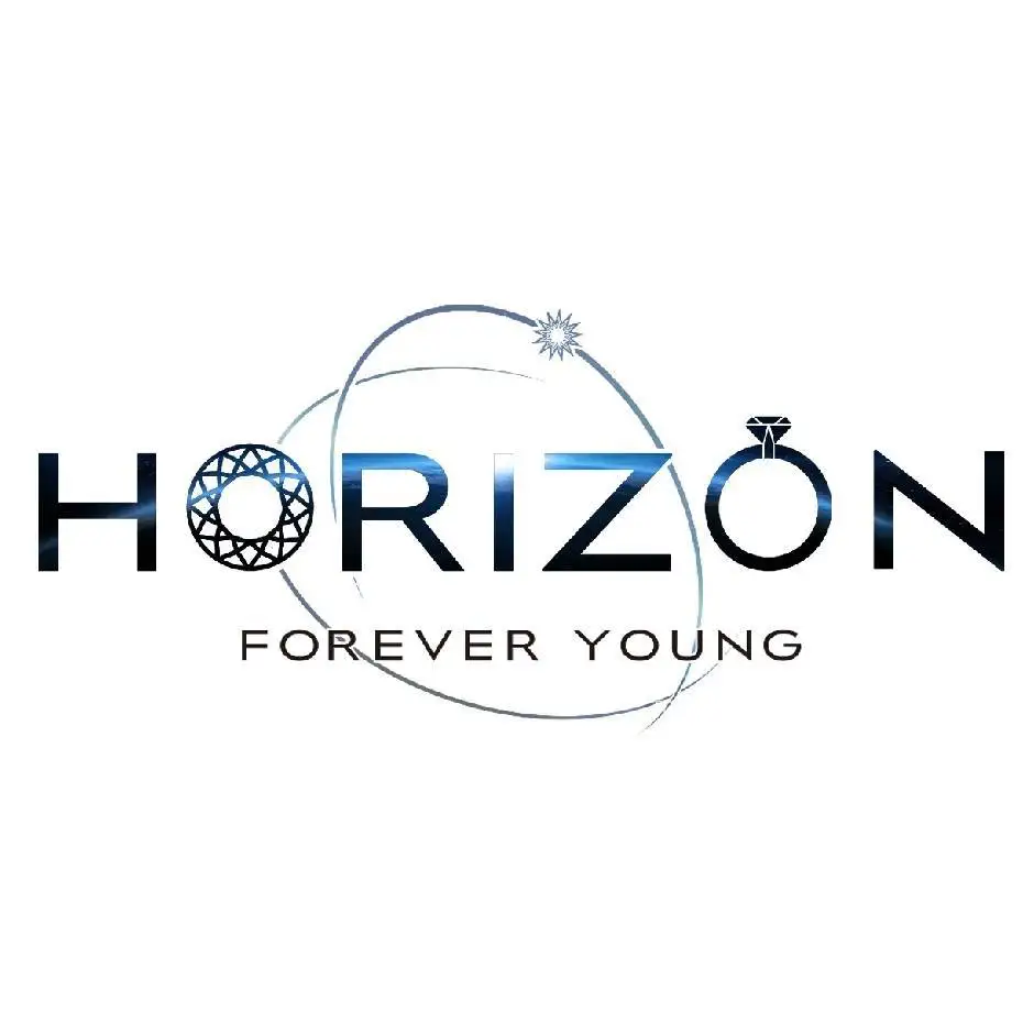 Company Overview - Guangzhou Horizon E-Commerce Co., Ltd.