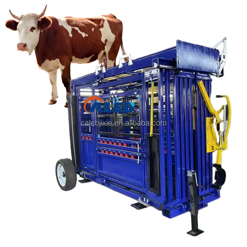 Standard Model Cattle Crush | Galvanized Steel | Basic Head Lock ...