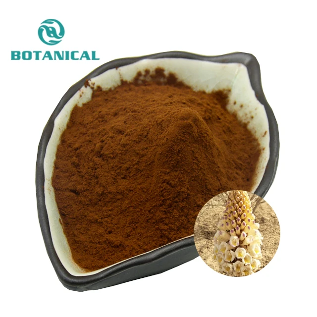 B.C.I SUPPLY High Quality Desertliving Cistanche Extract