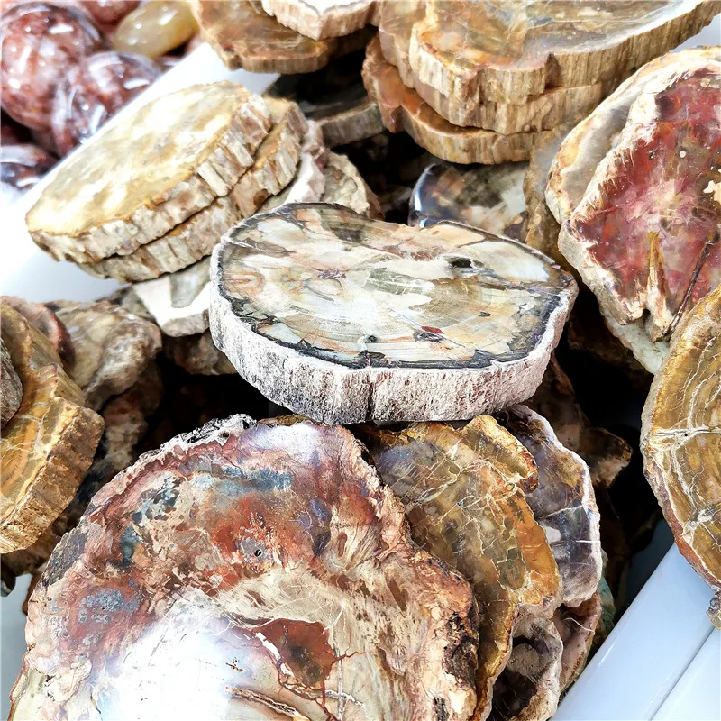 Natural fossil Stone Petrified Wood Jade Rough Stone Slice Petrified ...