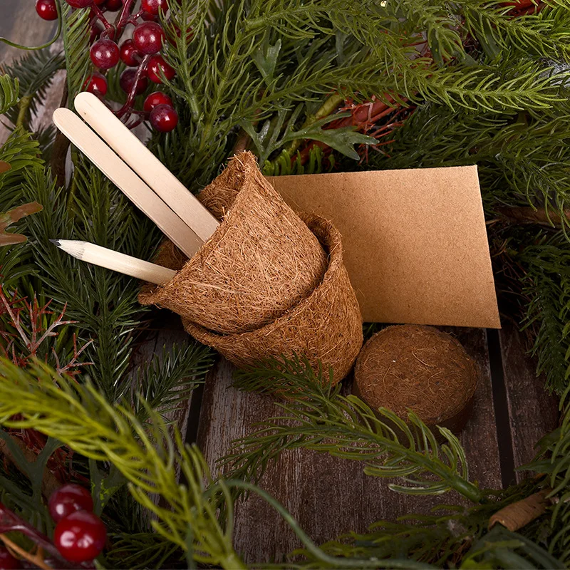 Blind Box Planting Set Biodegradable Growing Christmas Tree Combination ...