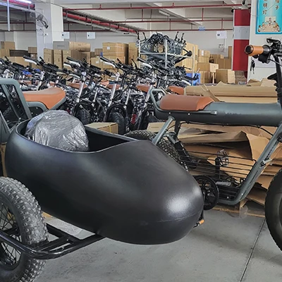 Ct20 Fat Vintage Side Car Fat Tyre Pedelec E Bike Electric Bicycle 48v ...