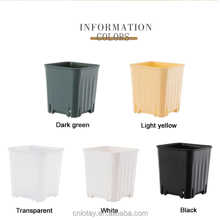 Cheap Square Plastic Slit Dendrobium Haworthia Succulent Planter Pot ...