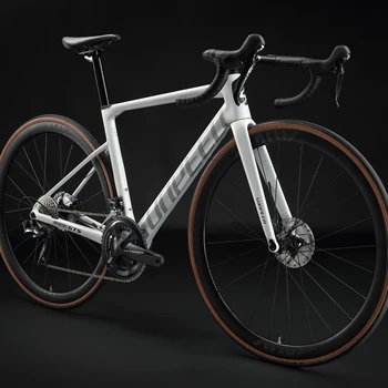 Sunpeed Invincible Gts Ultegra R8020 22speed Bicycle Hydraulic Disc ...