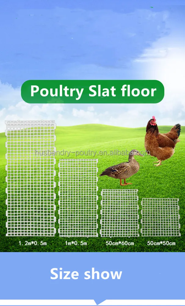 Chicken farming slat floor for Poultry farm| Alibaba.com
