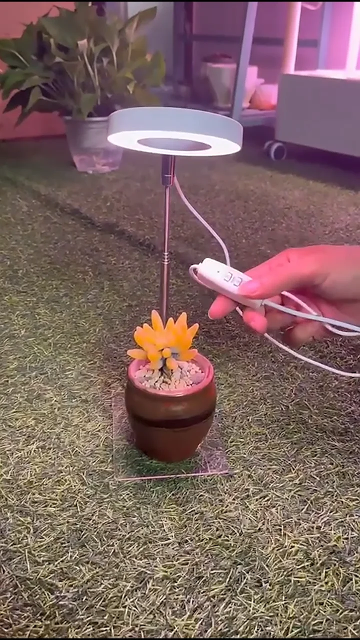 Liweida 3000k 4000k 6000k Height Adjustable Round Shape Angel Ring With ...