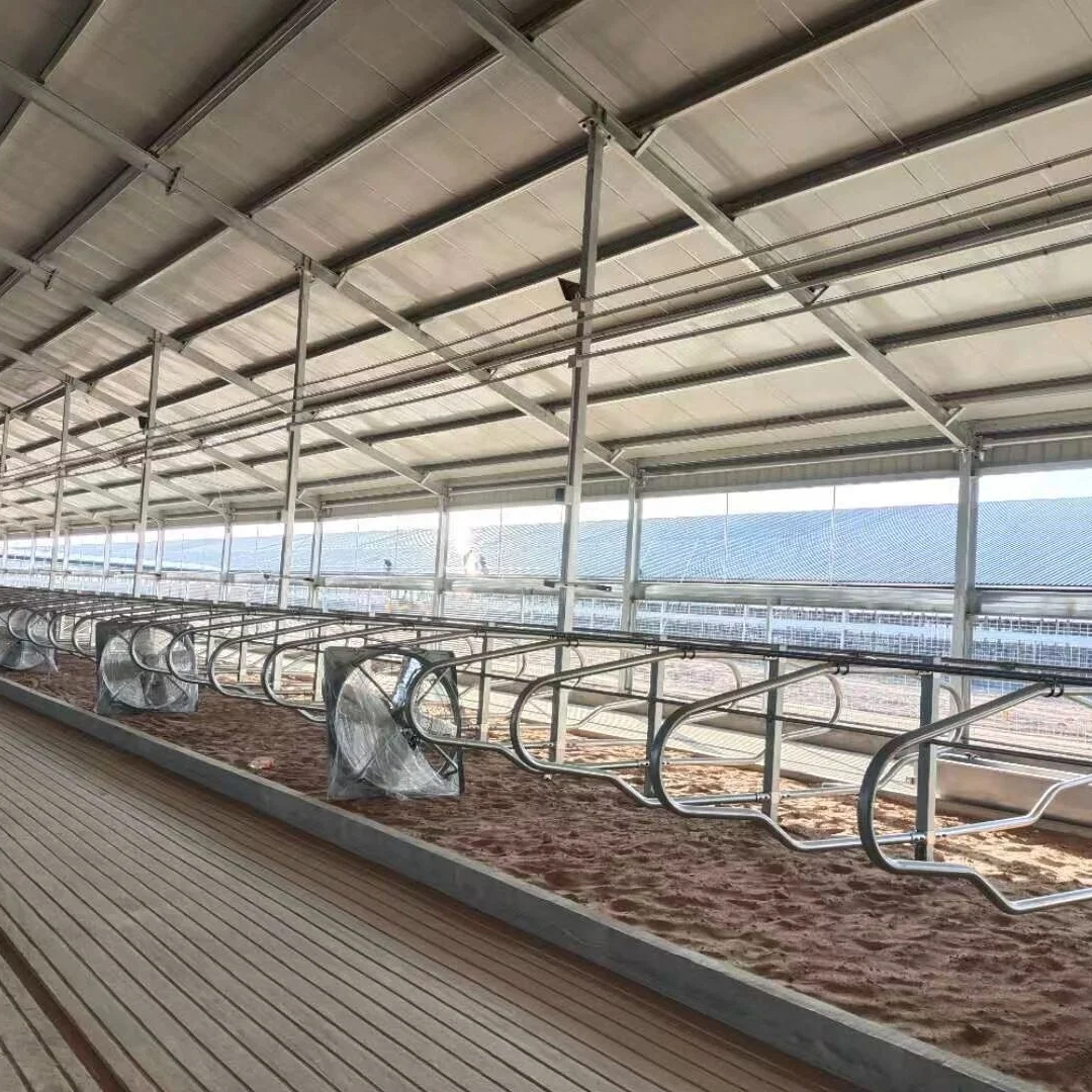 Portable Cow Cubicles Hot Dip Galvanized Cattle Livestock Divided ...