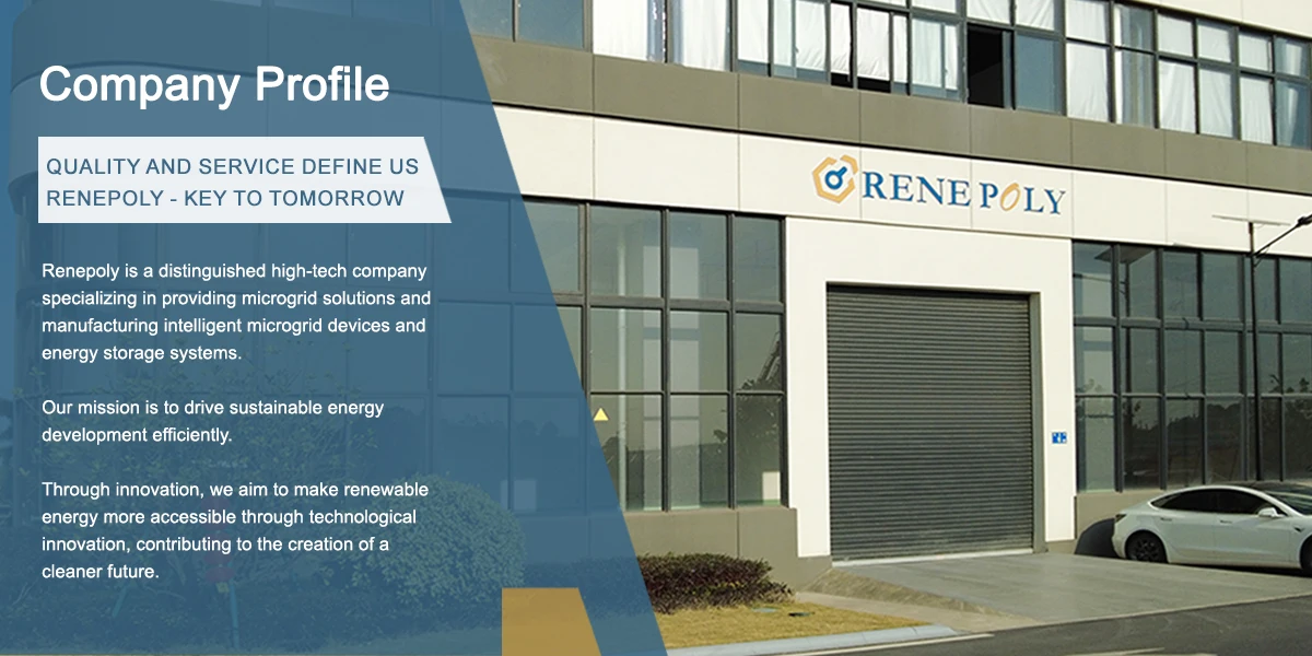 Next-Gen Renepoly EMS Local Controller Solar Inverters with Built-In Microgrid Software for ...