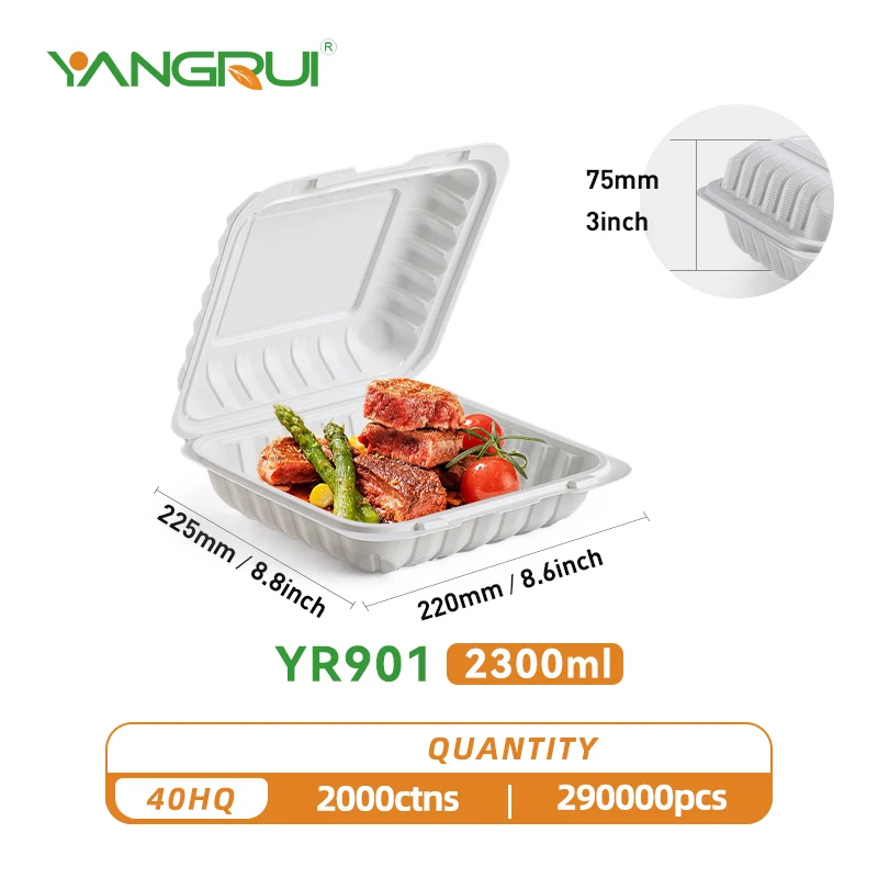 MFPP Clam Shell Containers - Durable, Reusable & Microwave Safe