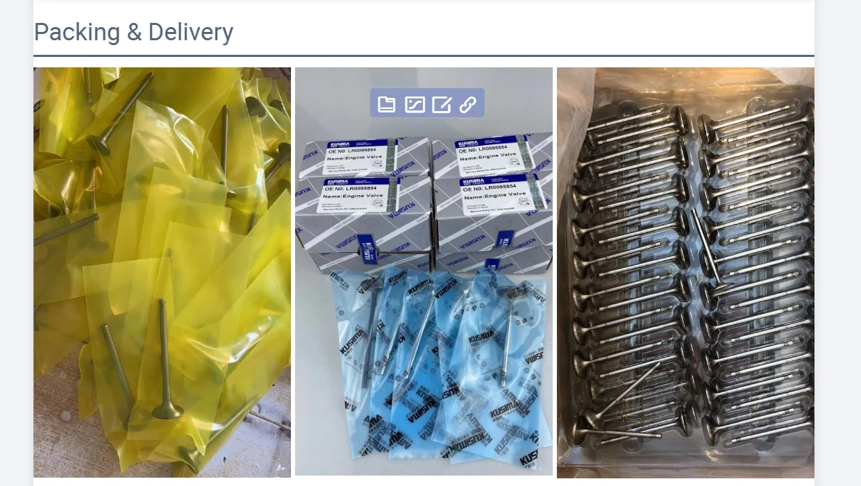 Engine Valve Intake And Exhaust For Land Rover Gasoline 3.0t Oe ...