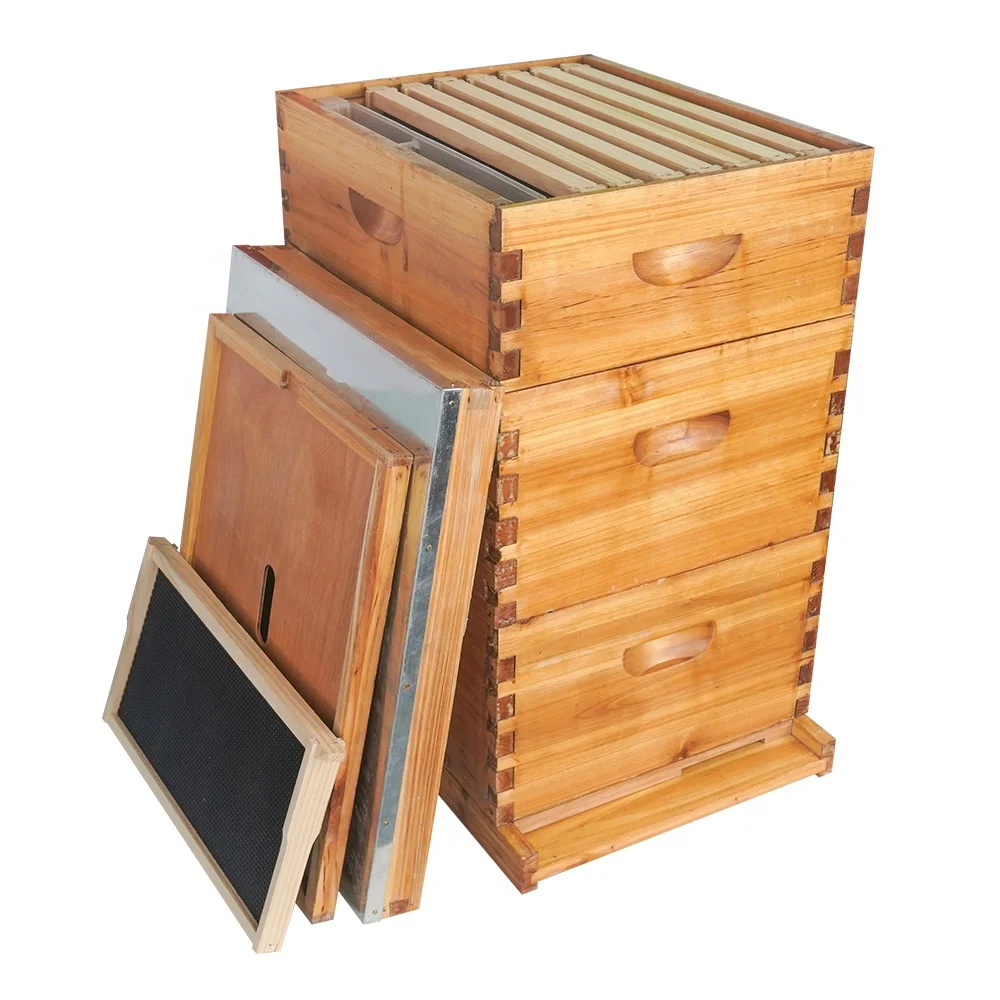 Beekeeping Wax Beehive House Box Langstroth Unassembled Waxed Bee Hive ...
