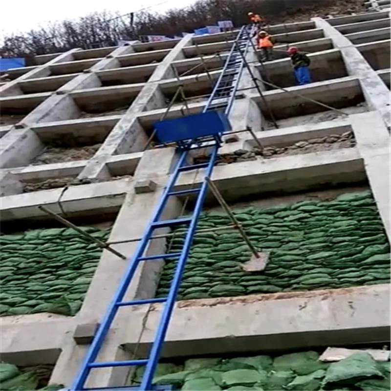 Custom Safe Electric Cargo Ladder Lifter 150-300kg For Doors And ...