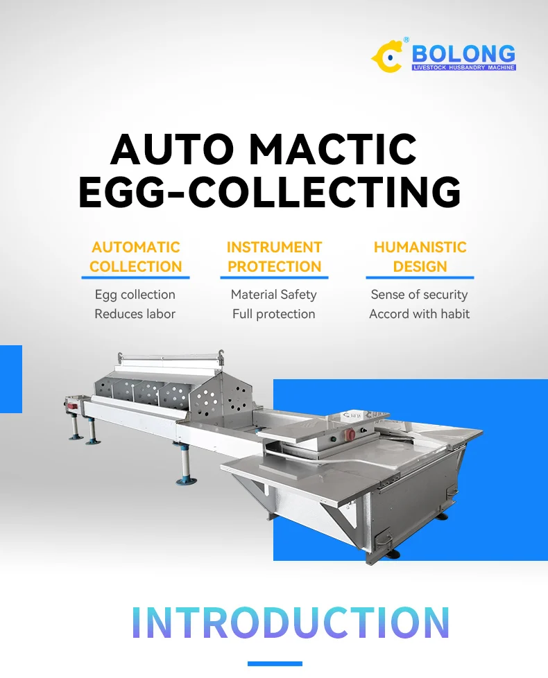 Automatic Egg Collecting System Hot Galvanizing Poultry Farm Equipment ...