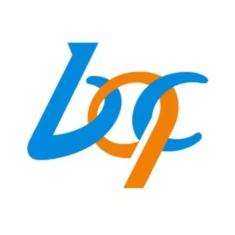 Company Overview - Shenzhen Baiqiancheng International Logistics Co., Ltd.