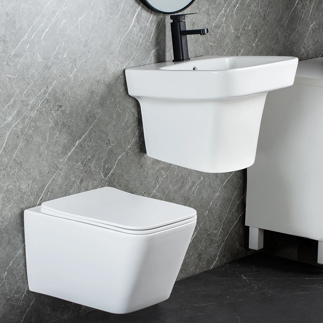 Modern Porcelain Ce Rimless Wall Mounted Basin Toilet Toilet Bowl Sink ...
