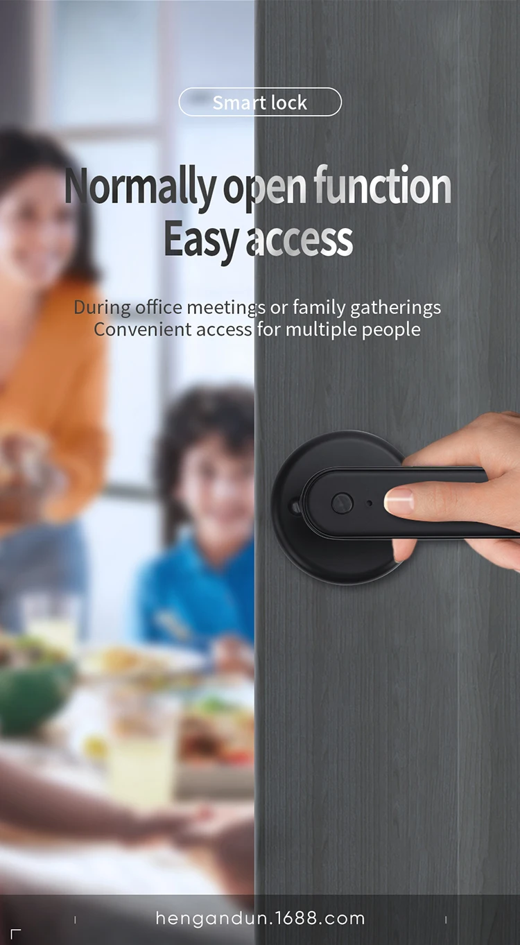 Professional Wifi Fingerprint Door Lock With Ce Certificate - Buy Wifi ...