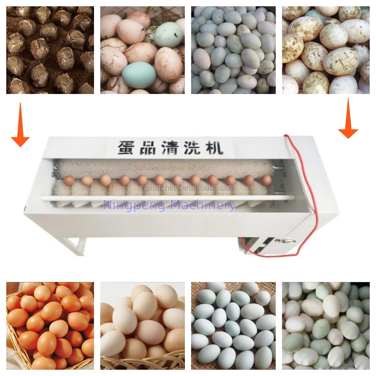 NP Brand egg washing machine line small type egg washing machine egg ...