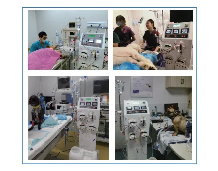 AFAITH Veterinary Hemodialysis Machine - Animal Blood Perfusion