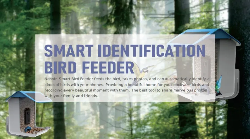 Ai Recognition Smart Bird Feeder For Christmas Gift With Camera And Motion Detection Function ...