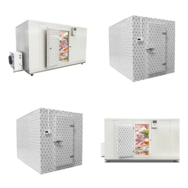 20ft Container Food Cold Storage Rooms Walk In Freezer Mobile Container ...