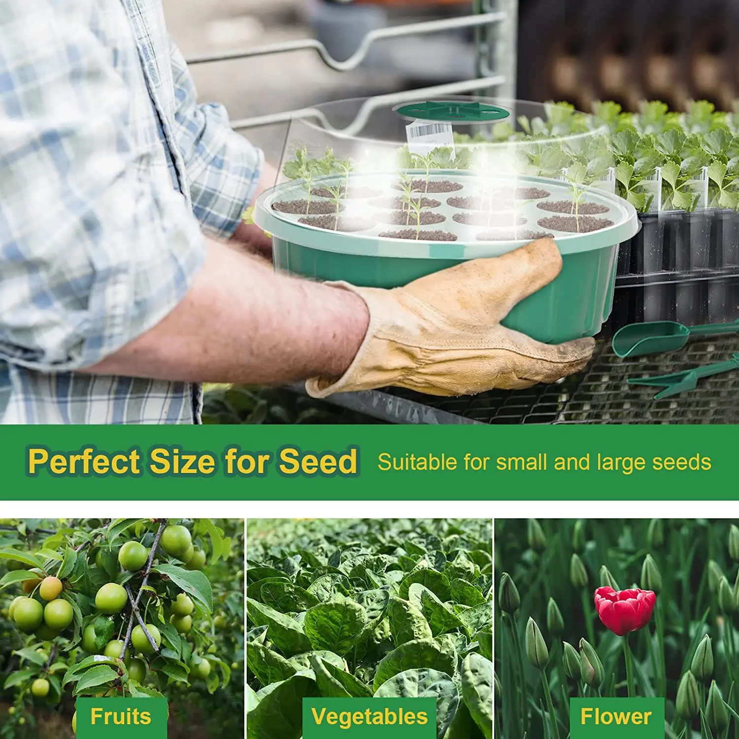 Lk Mini Seedling Starter Tray Plastic Nursery Pot Garden Seed Starter ...