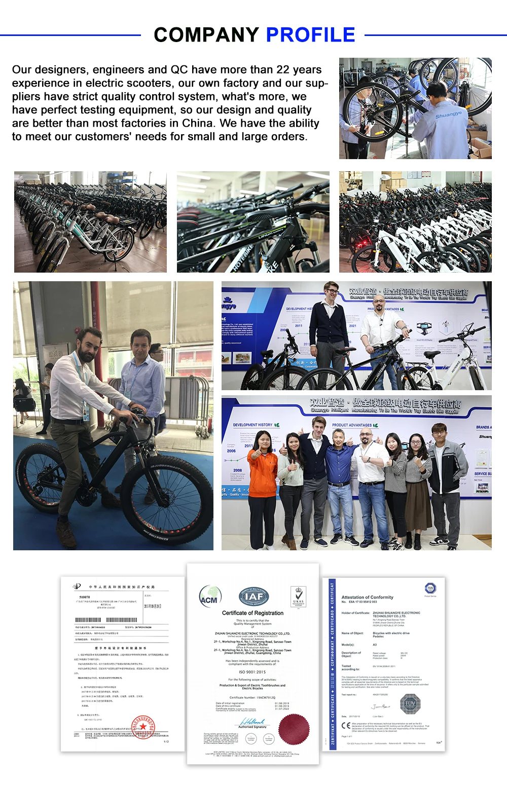 3 Wheel Fat Tire Electric Cargo Bike Tricycle 48v 250w 350w 500w 750w ...