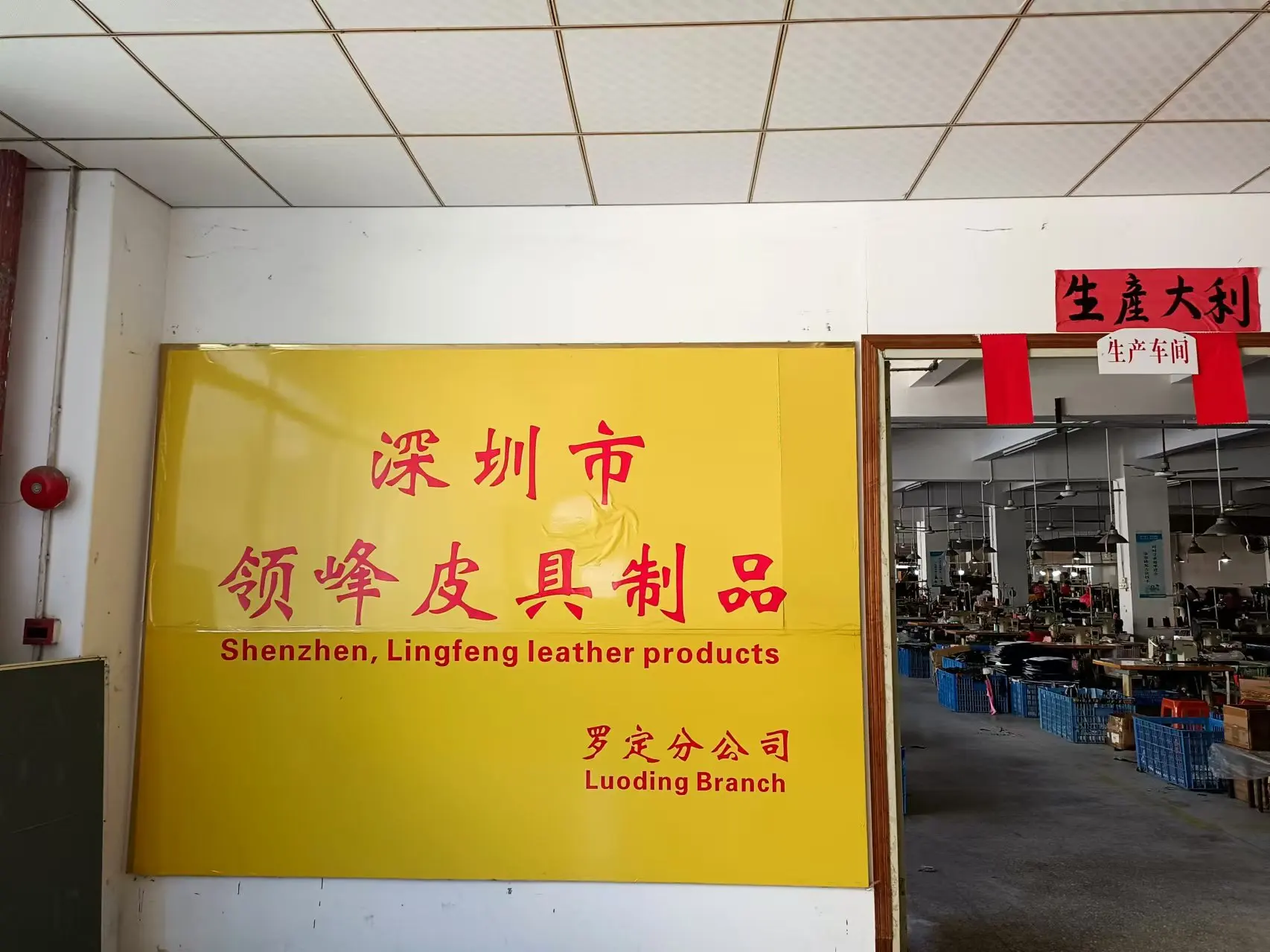 Company Overview - Shenzhen Lingfeng Leather Products Co., Ltd.