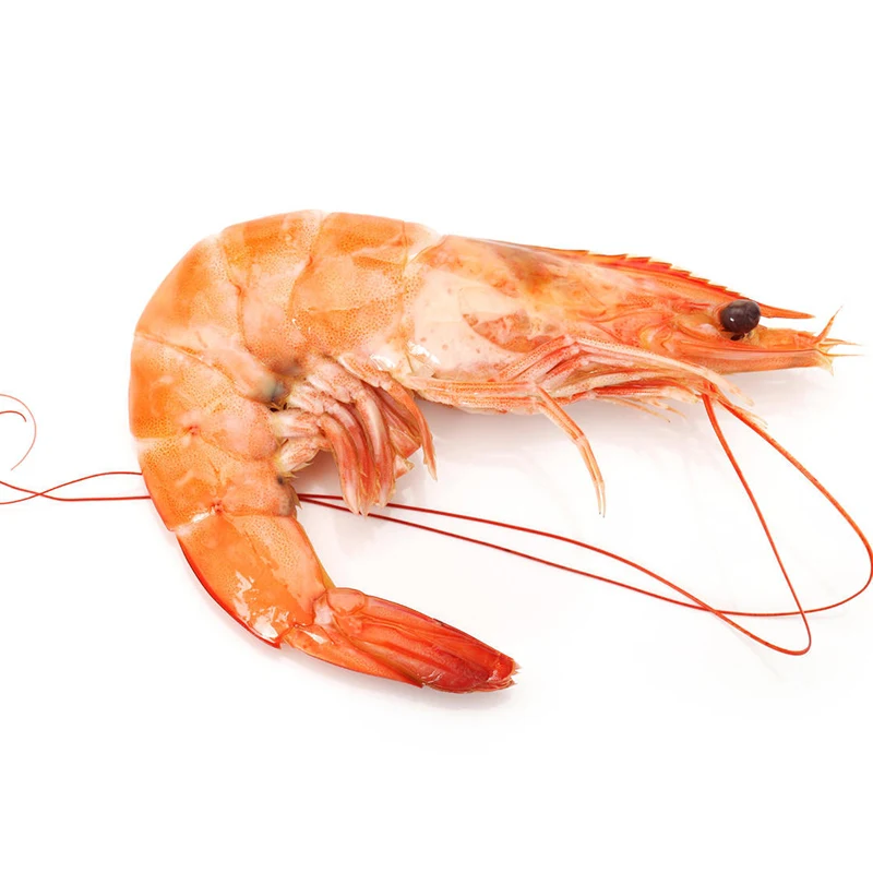 Wholesale Frozen Hoso Black Tiger Shrimp Iqf Block Packing 1.3 Kg/tray ...