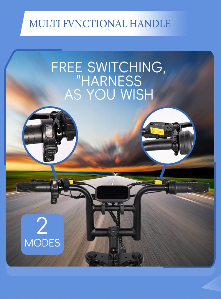 V20 Mini 250W 48V 16-Inch Fat Tire Electric Hybrid Bike