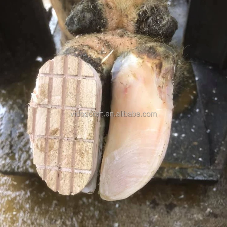 Hoof Block Wood Wedge Shaped of Toe Cow Foot Health| Alibaba.com
