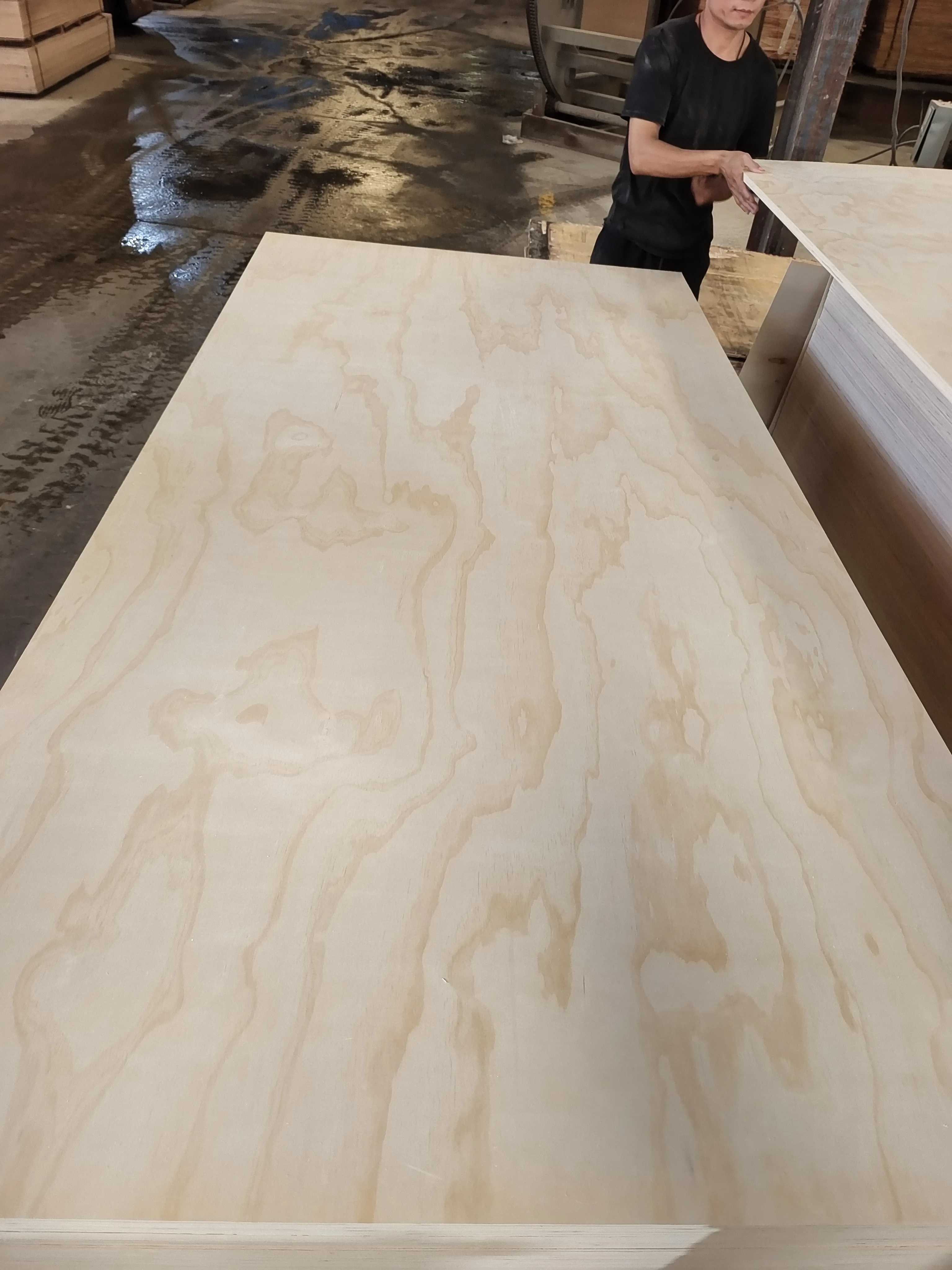 Triplay De Pino CDX 18mm Plywood for Roofing & Sheathing - Structural ...