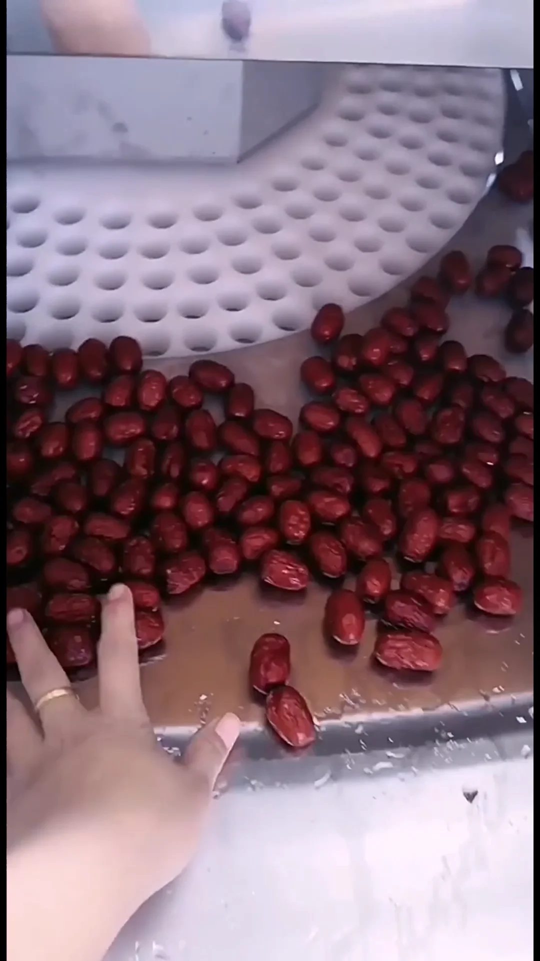 Small Mini Olive Dates Seed Removing Machine Roselle Cherry Destemer ...